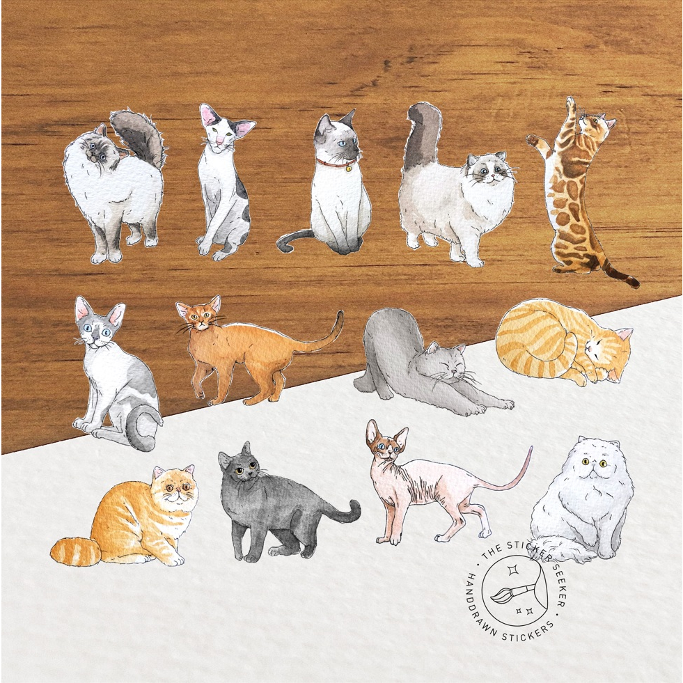 Jual Cats Vinyl Sticker Pack | Shopee Indonesia