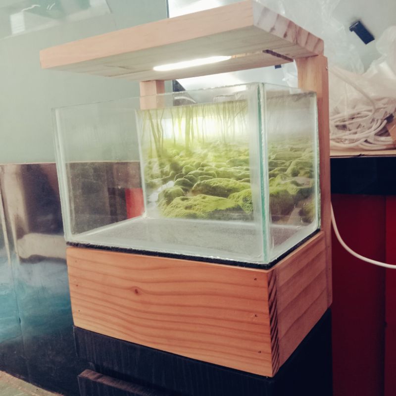 Jual Meja aquarium minimalis // kabinet aquarium // lemari aquarium ...