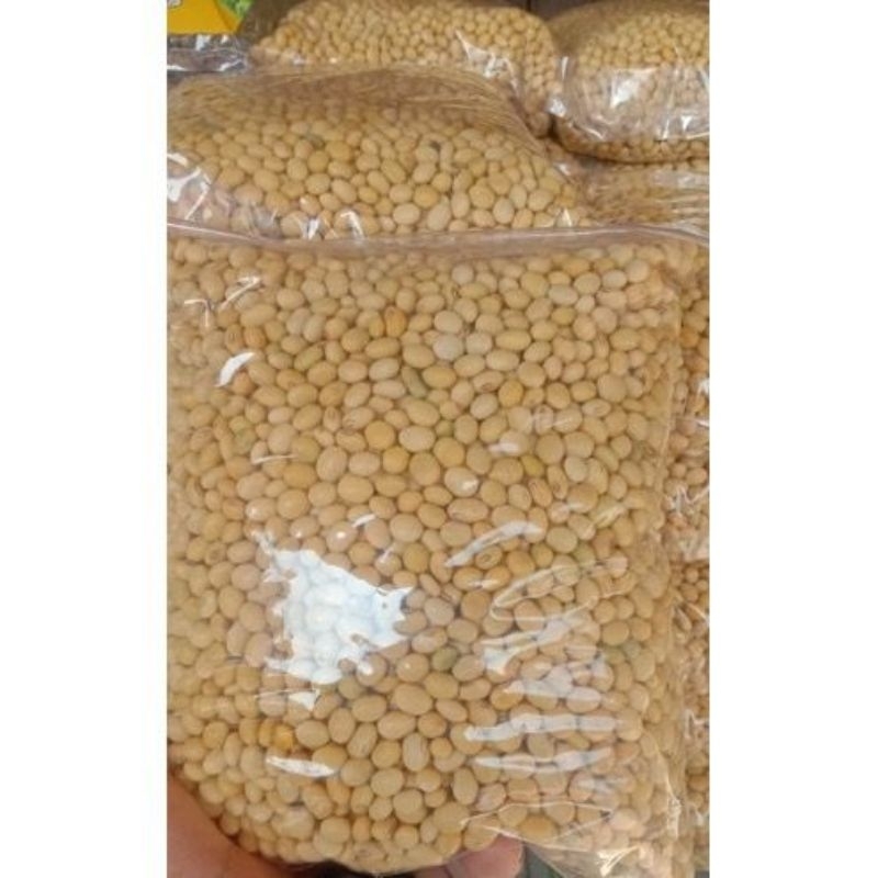 Jual 1KG BENIH KEDELAI VARIETAS ANJASMORO SUPER UNGGUL SIAP TANAM ...