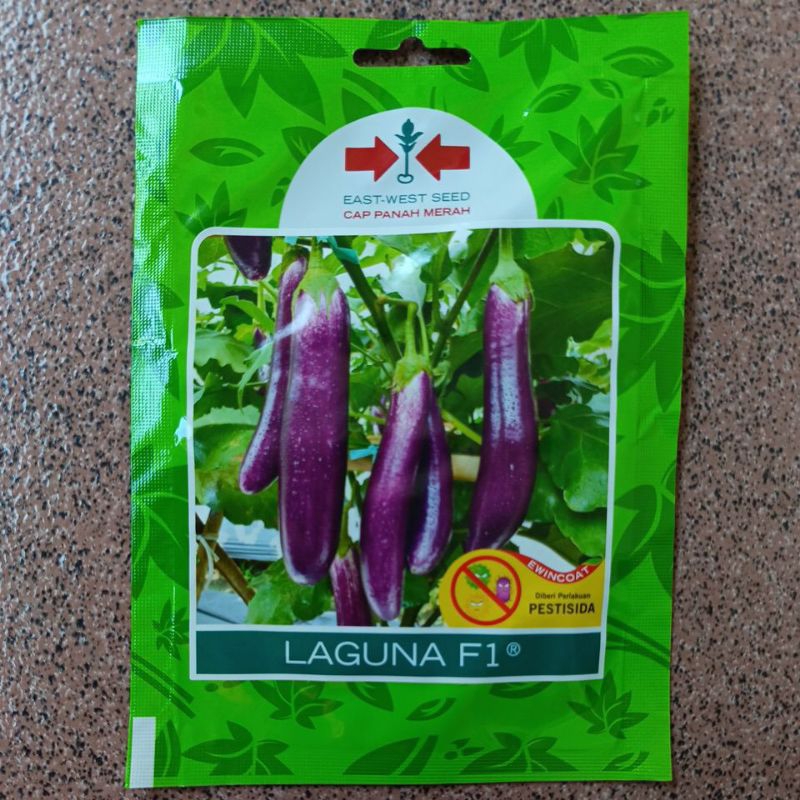 Jual 400 Butir Benih Terong Ungu Laguna F1 Exp 2026 | Shopee Indonesia Jual 400 Butir Benih Terong Ungu Laguna F1 Exp 2026 | Shopee Indonesia