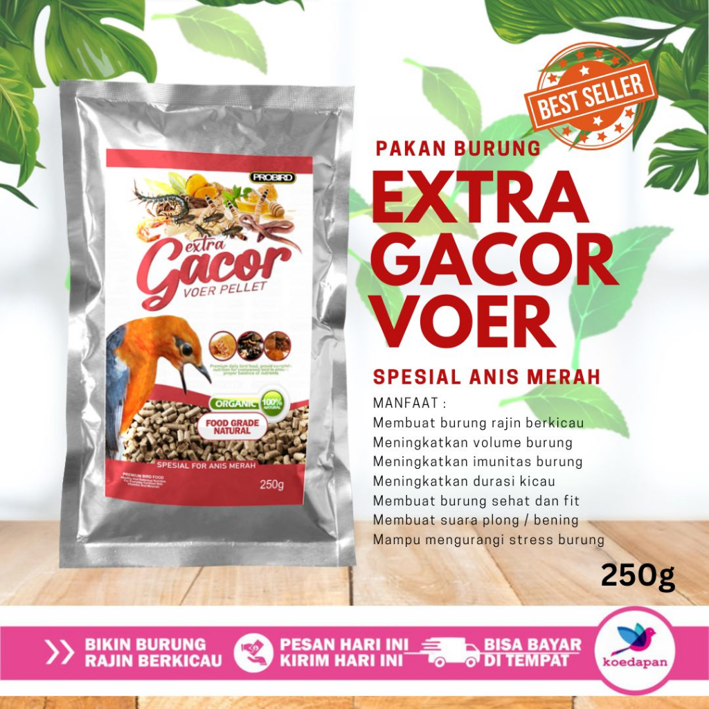 Jual Pakan Burung Voer Spesial Anis Merah Extra Cacing Kroto Sari ...