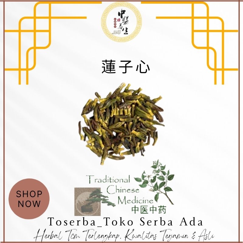 Jual 100gr herbal lian zi xin premium grade plumula nelumbinis lotus ...