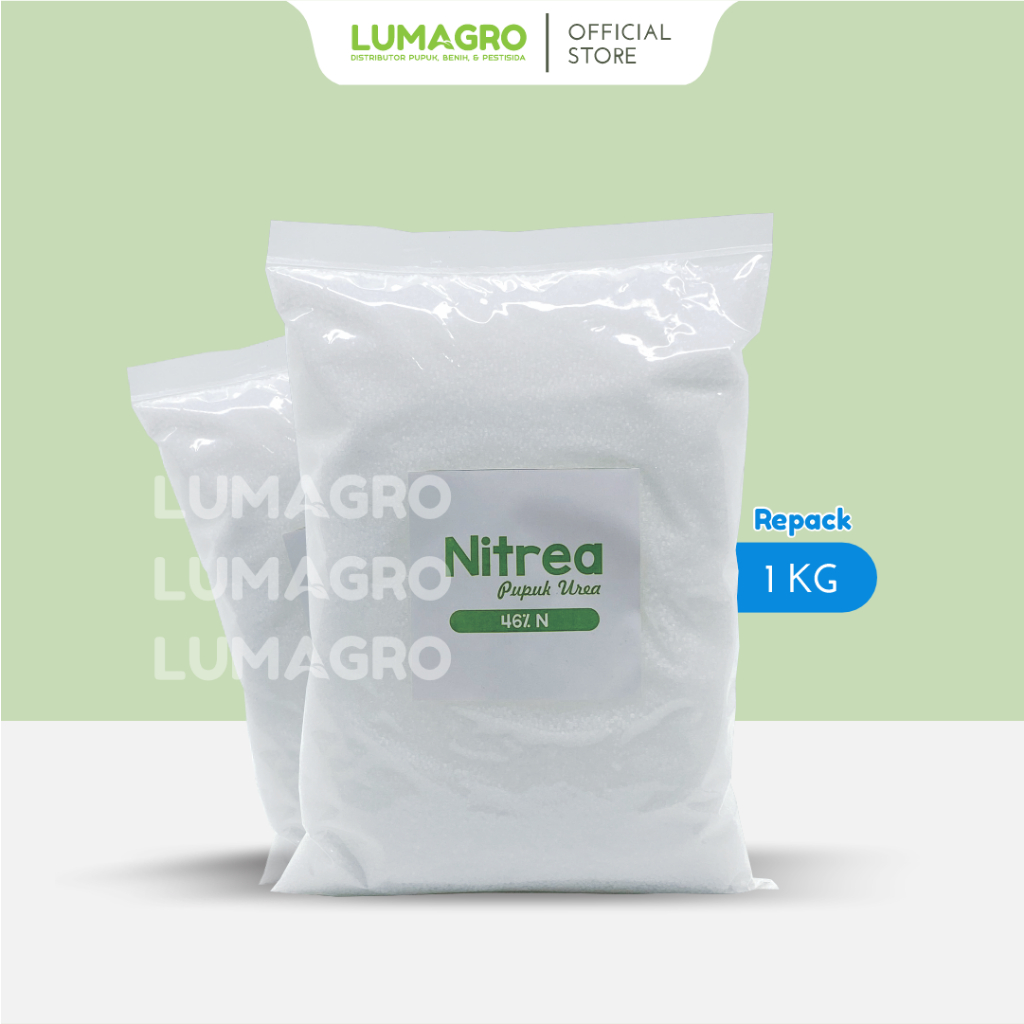 Jual Pupuk Nitrea 1kg Repack Nutrisi Untuk Menambah Protein Tanaman ...