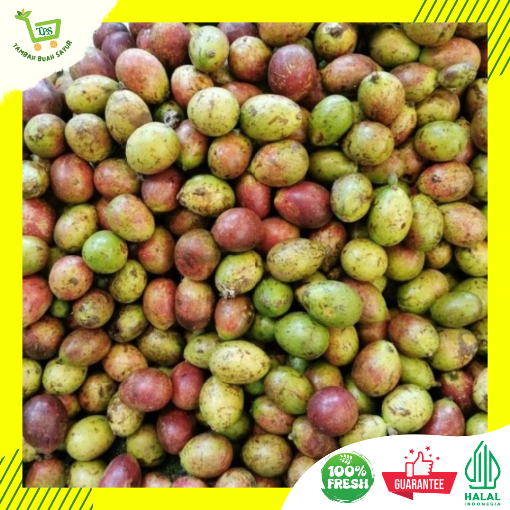 Jual MATOA | BUAH MATOA | MATOA MANIS | MATOA FRESH | (KHUSUS SAMEDAY ...