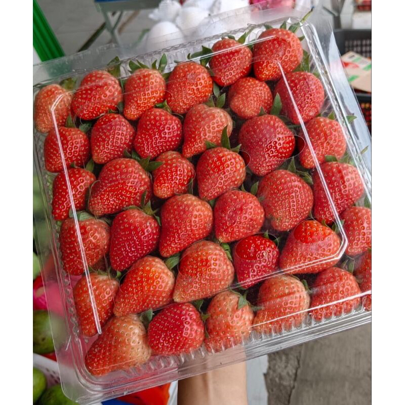 Jual Strawberry 1kg / Buah strawberry / strawbery / stroberi / strobery ...