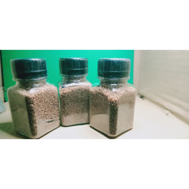 Jual Baby Shrimp Pakan Ikan | Shopee Indonesia Jual Baby Shrimp Pakan Ikan | Shopee Indonesia