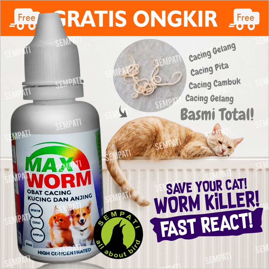 Jual Max Worm 30ml Obat Cacing Kucing Anjing Cat Dog Kitten Adult Obat ...