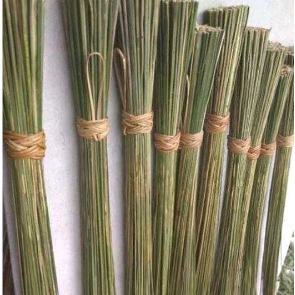 Jual Sapu Lidi Aren ( masih baru, panjang, dijamin awet ) | Shopee ...