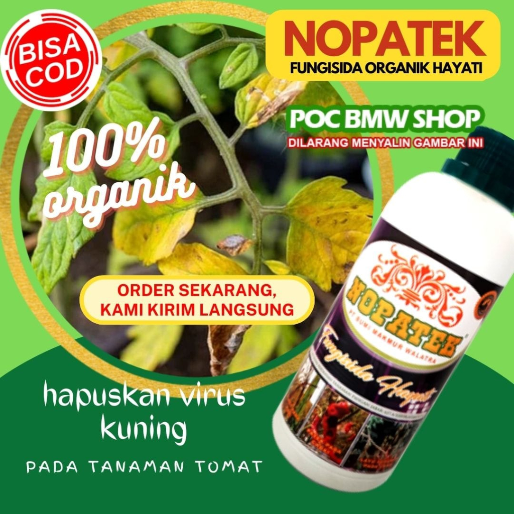 Jual Nopatek 500ML Fungisida & Bakterisida Hayati Mengatasi Penyakit ...
