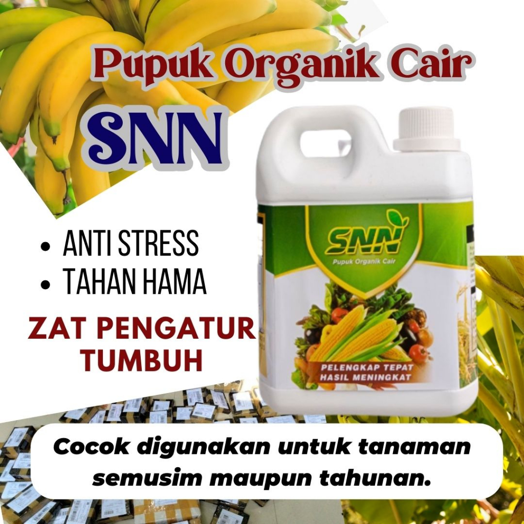 Jual Pupuk Organik Penyubur Pisang, Pupuk Perangsang Pisang Agar Cepat Berbuah Lebat | Shopee ...