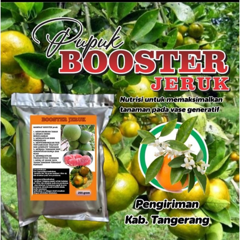 Jual Pupuk Booster Jeruk Perangsang bunga dan pelebat buah anti rontok 250 gram | Shopee Indonesia