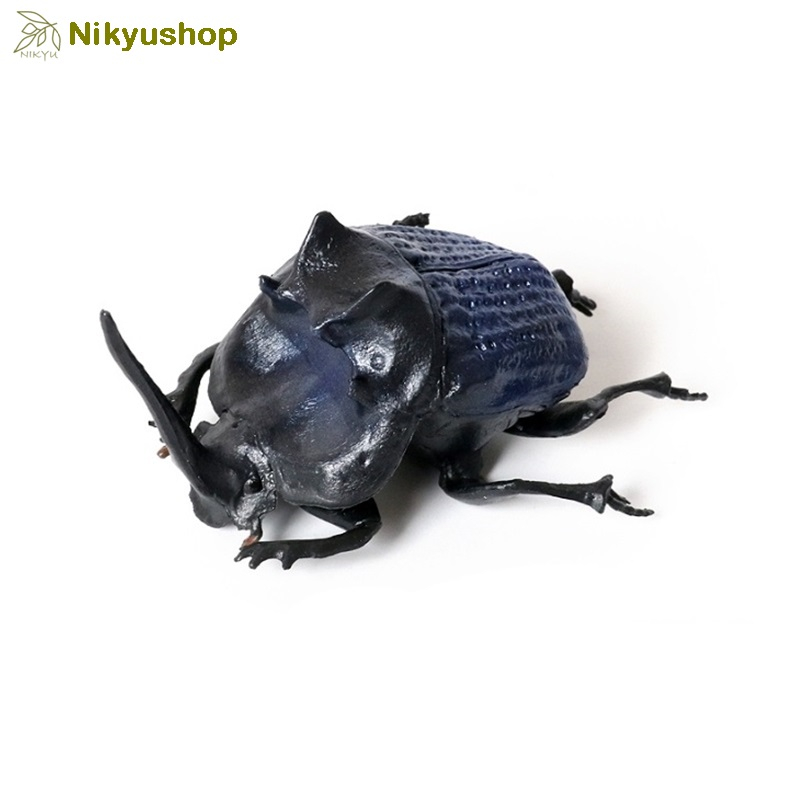 Jual [Nikyushop] Mainan Edukasi Pajangan Hewan Serangga Kumbang ...