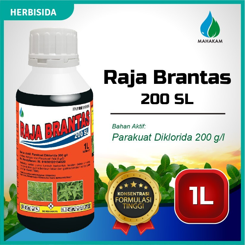 Jual Obat Rumput Herbisida Kontak Raja Brantas 200 SL Pembasmi Rumput ...