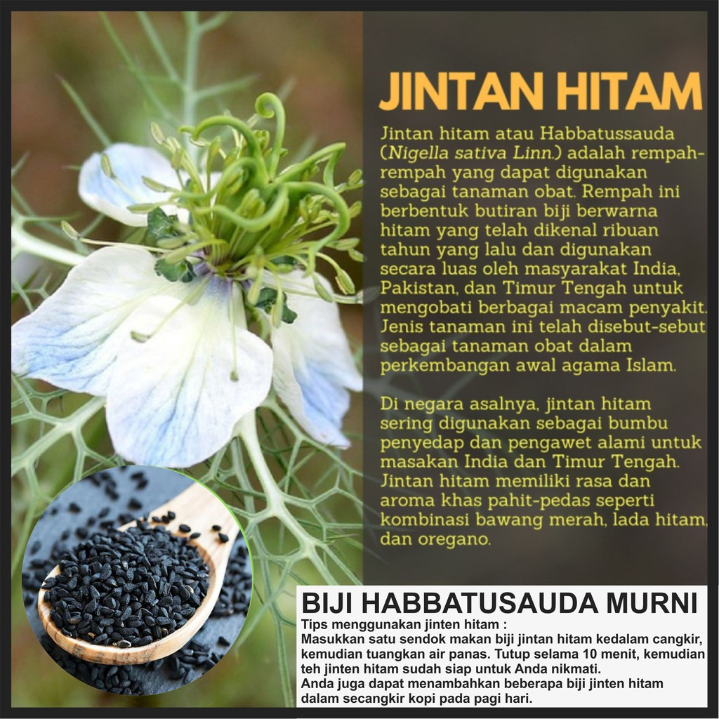 Jual Biji Jintan Hitam / Habbatussauda Premium | Shopee Indonesia