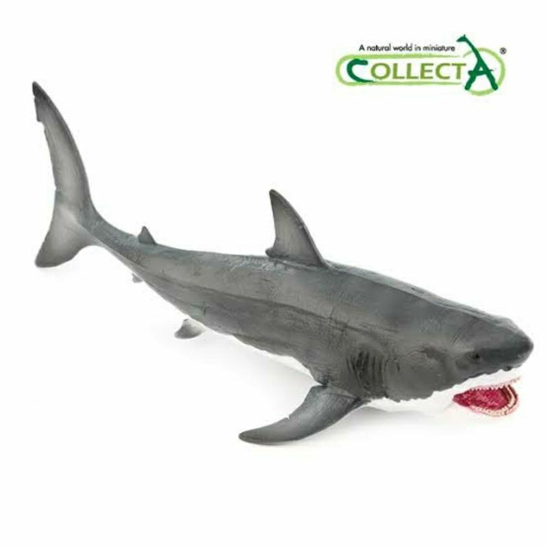 Jual Collecta Figure Megalodon Shark Original Mainan Hiu Megalodon ...