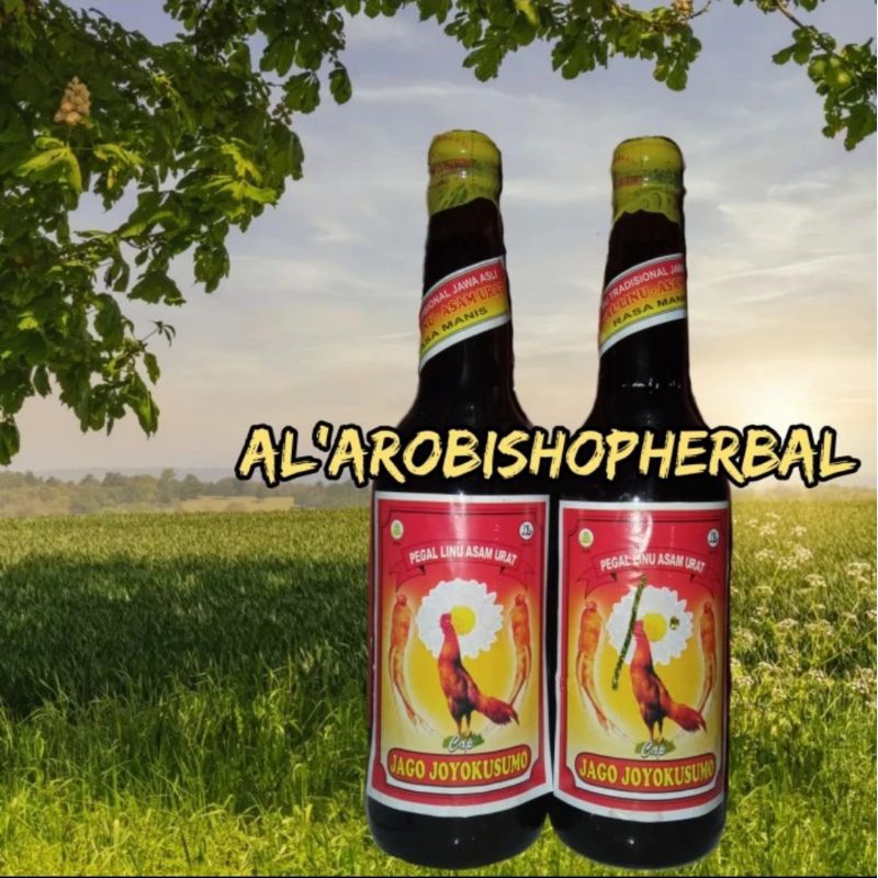 Jual JAMU Cap JAGO JOYOKUSUMO Pegalinu Asam Urat | Shopee Indonesia