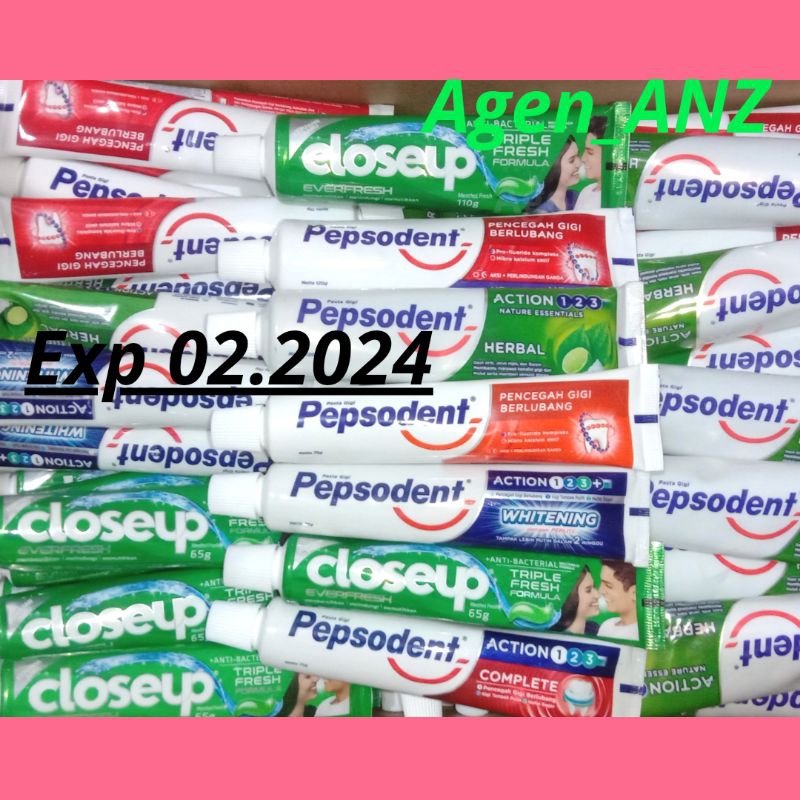 Jual Pepsodent action 123 Herbal nature essentials 120g Pepsodent ...
