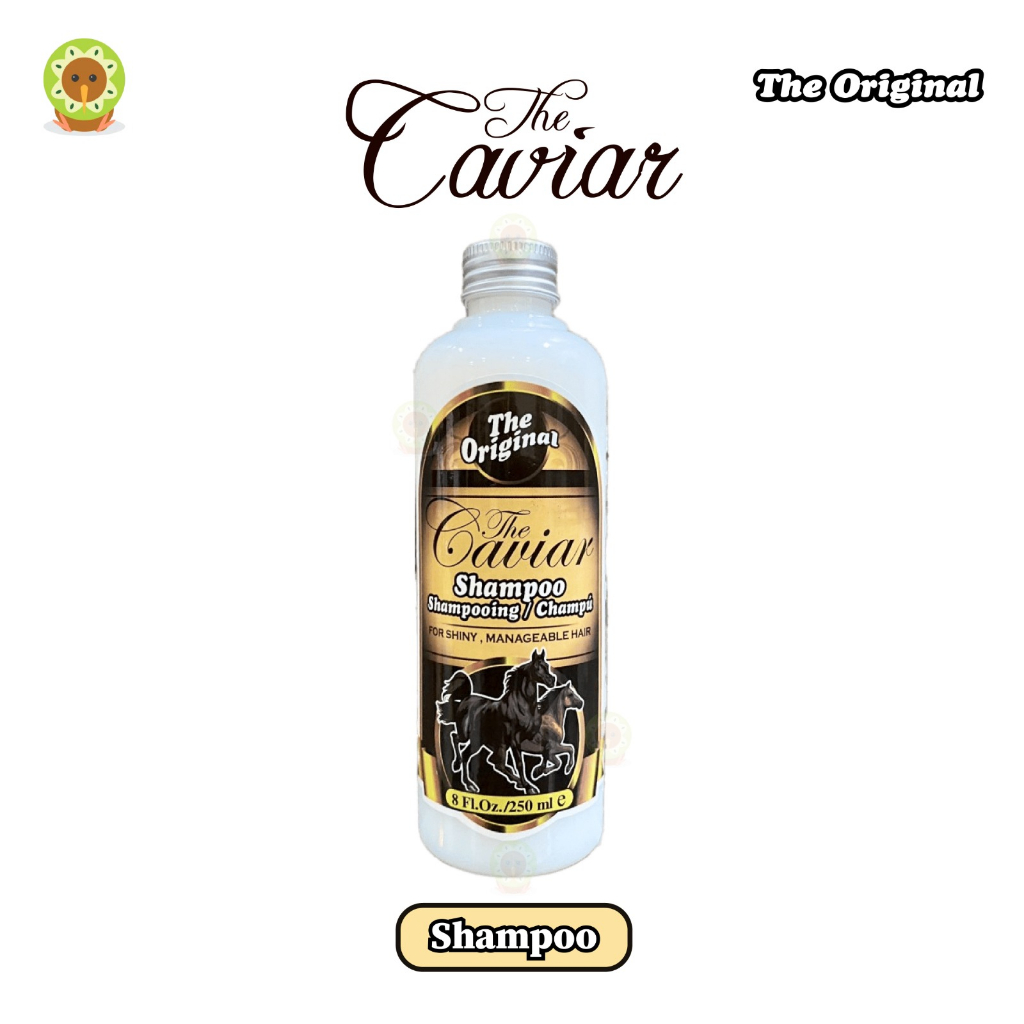 Jual THE CAVIAR SHAMPOO - SHAMPO CAVIAR - SHAMPO KUDA | Shopee Indonesia