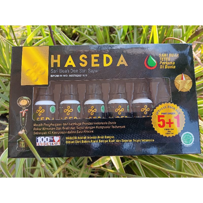 Jual Haseda Herbal Tetes Indonesia Paket Family free 1 Mug Cantik ...