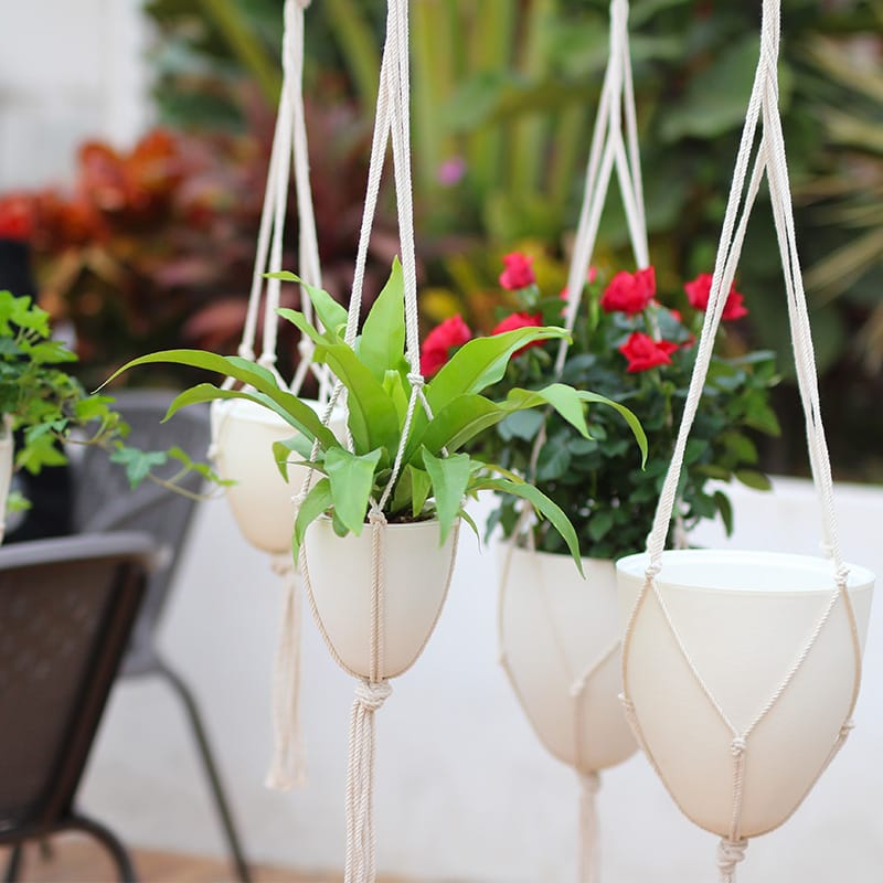 Jual SELF WATERING POT - POT GANTUNG - POT TANAMAN OTOMATIS - OLZ - D09 ...