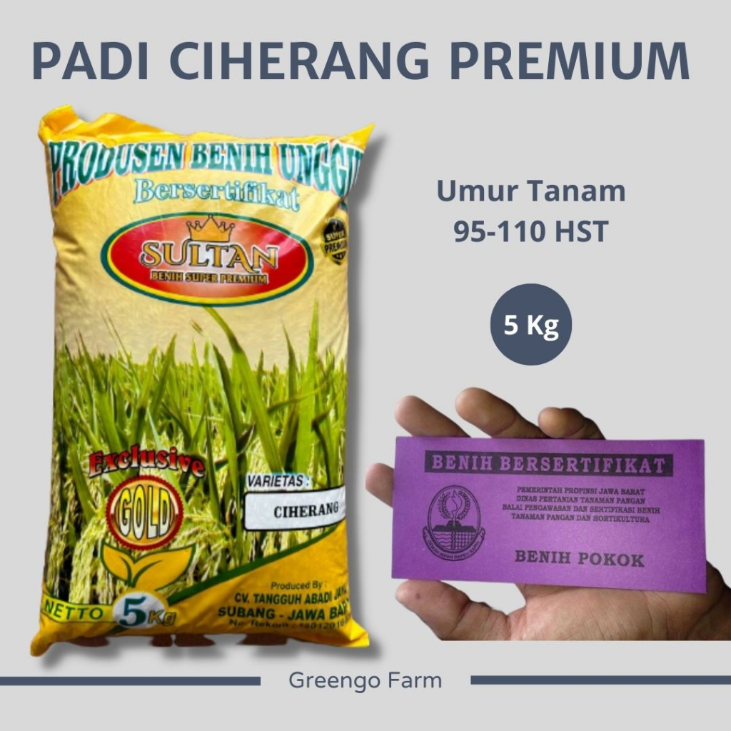 Jual Benih Padi Varietas Ciherang Super Jumbo 5 Kg | Shopee Indonesia