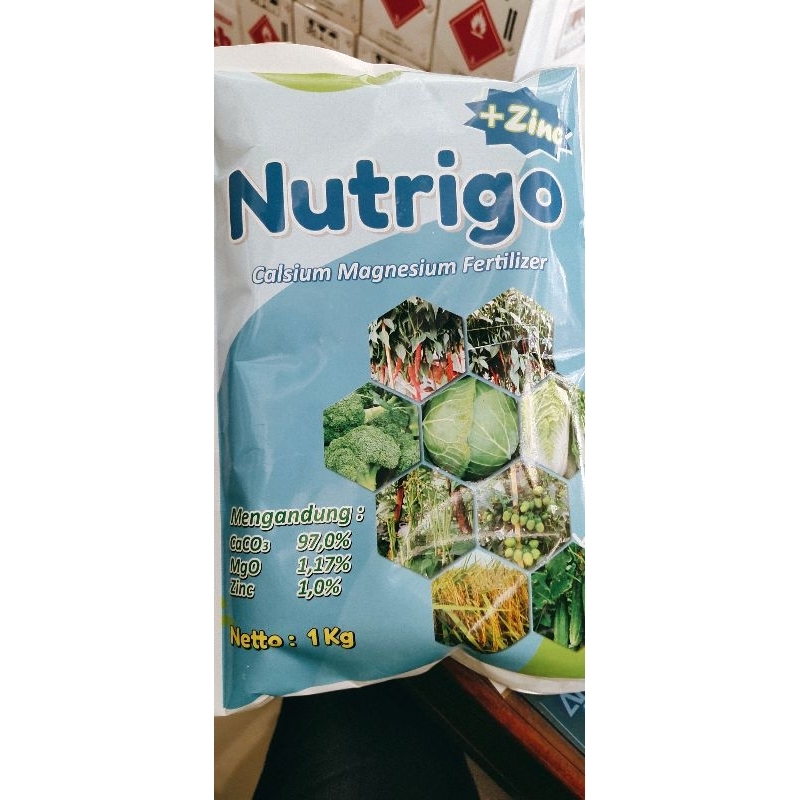 Jual NUTRIGO CALSIUM PLUS ZINK ORIGINAL 1KG | Shopee Indonesia