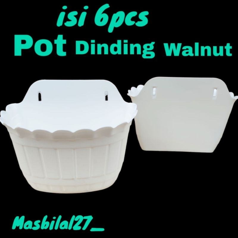 Jual 6pcs pot dinding walnut putih | Shopee Indonesia