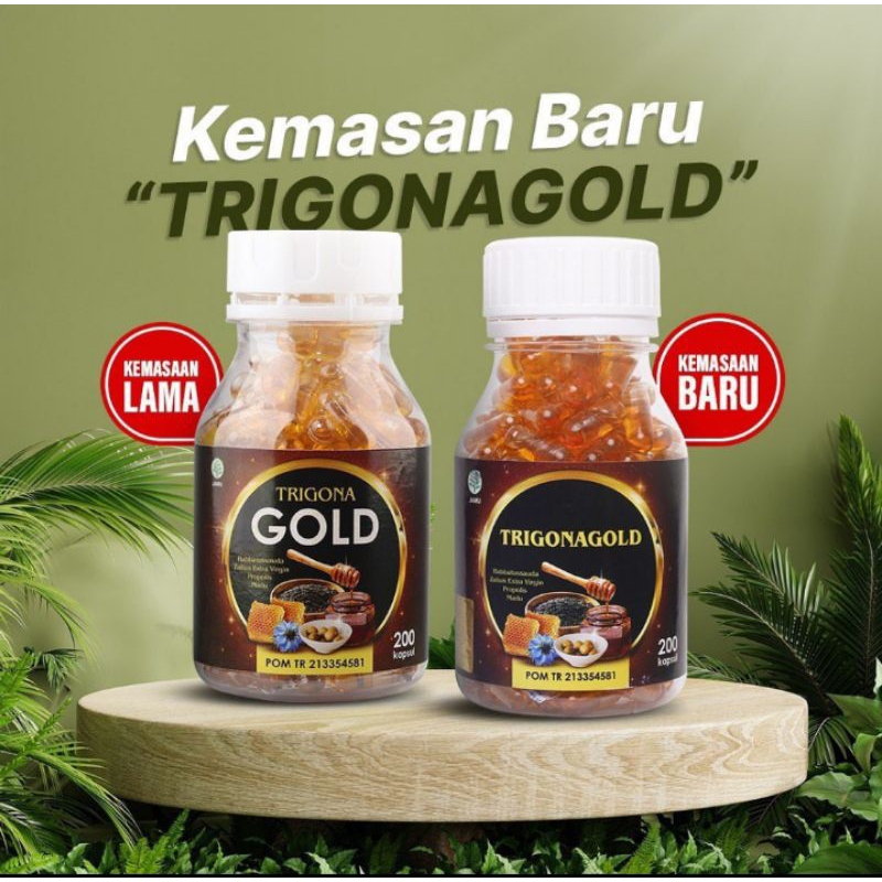 Jual Trigona Gold Habbatussauda Plus Madu Propolis Trigona Zaitun Multi ...