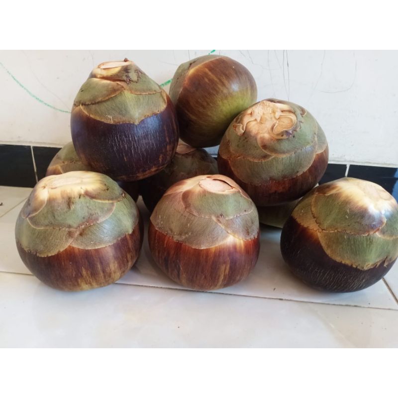 Jual Buah lontar Paket 5 Biji Utuh Perbiji isi 3 Buah(Dipetik Stelah ...