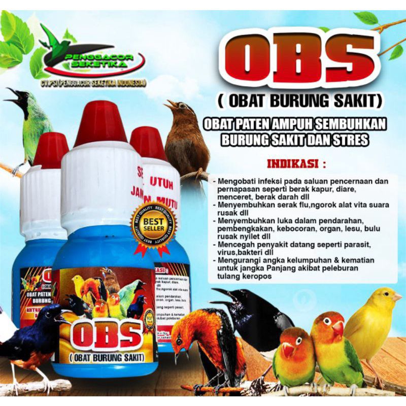 Jual OBS Obat Burung Sakit Stress Diare Mencret Nyilet Saraf Lemas Lesu ...