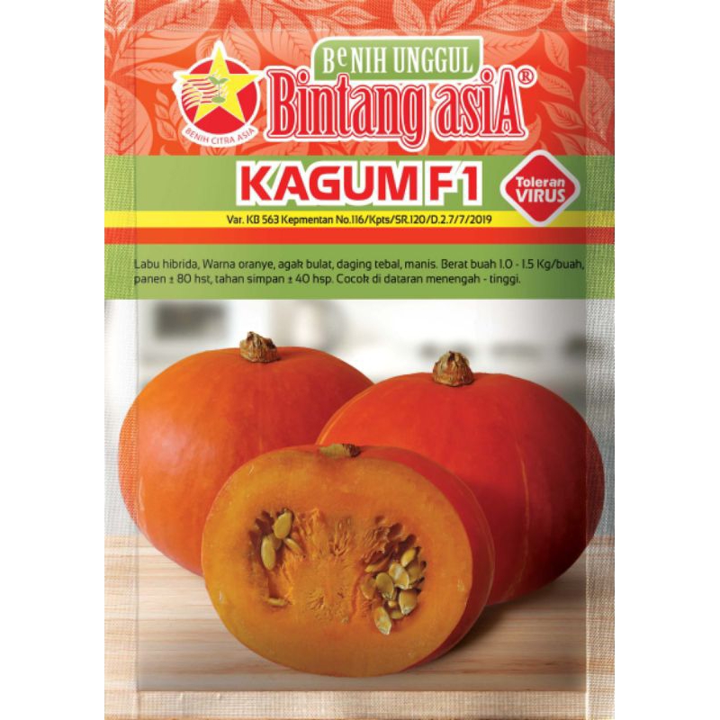 Jual Bibit - Benih Labu hibrida orange daging tebal manis Kagum F1 ...