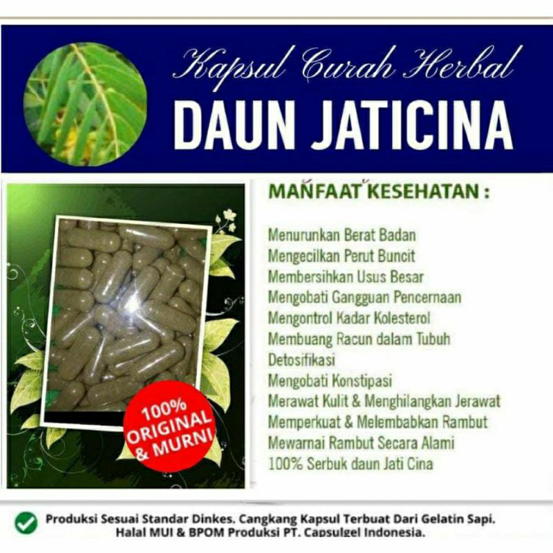 Jual DAUN JATI CINA 100 KAPSUL OBAT HERBAL ALAMI (GRADE A5) | Shopee ...