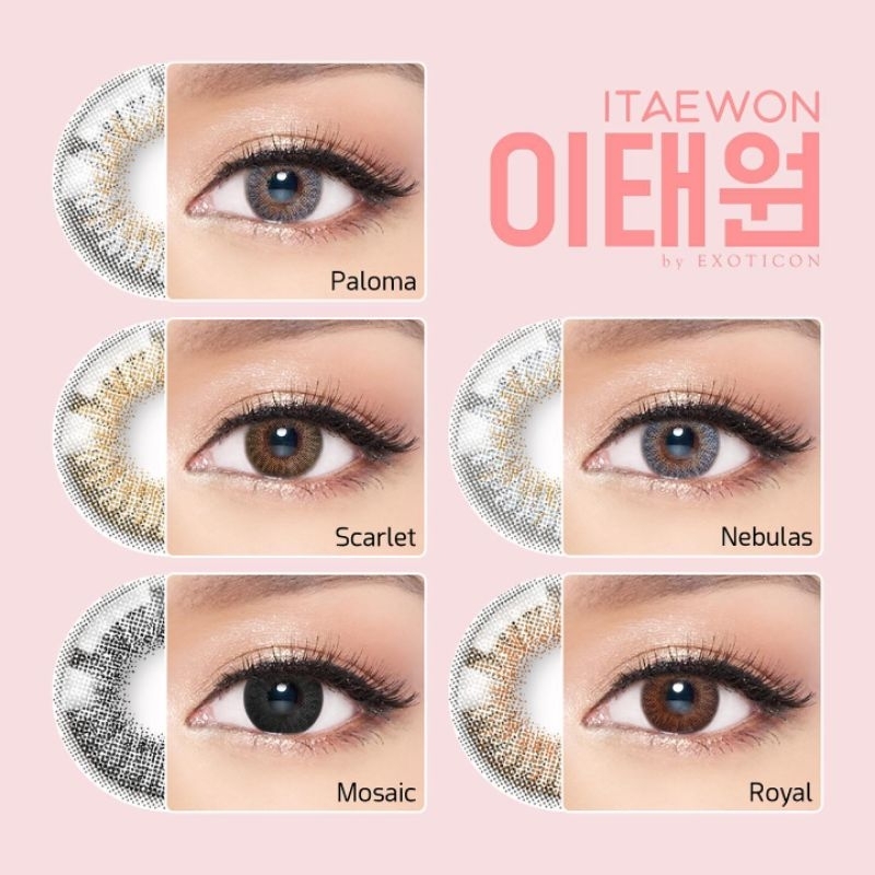 Jual SOFTLENS X2 ITAEWON NORMAL MINUS s.d-6.00 ORIGINAL MADE IN KOREA ...