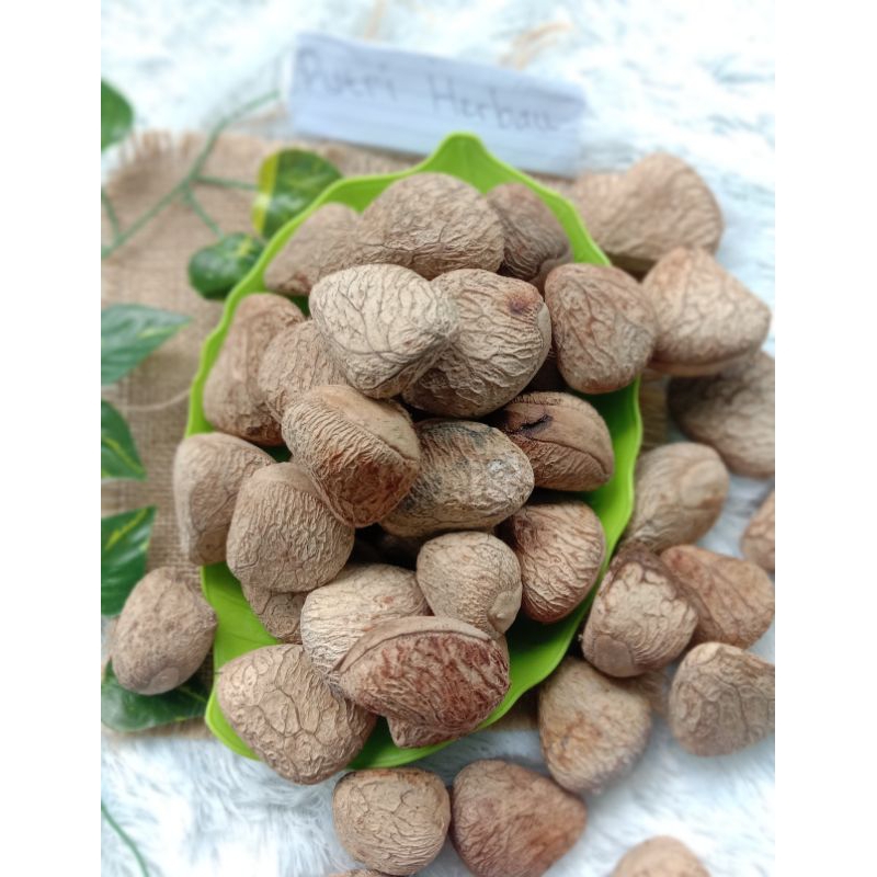 Jual BUAH PICUNG/KLUWEK KEPAYANG TUA PER 1 KG | Shopee Indonesia