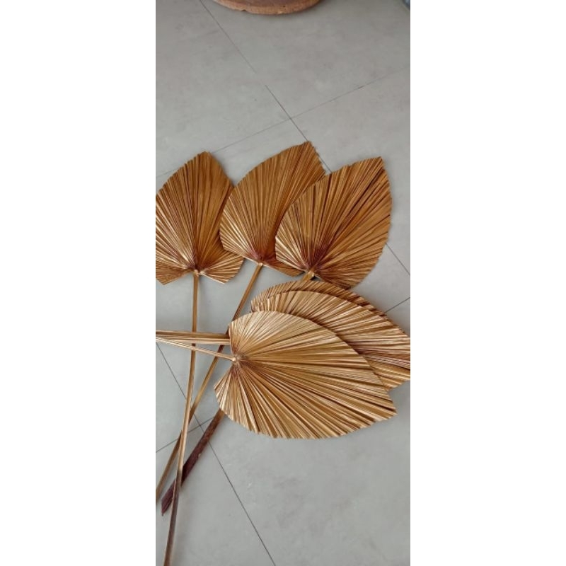 Jual Daun rustic/palem kering L40cm P 90cm | Shopee Indonesia