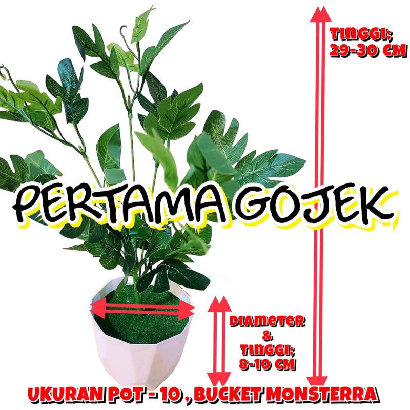 Jual Paket Pot - Bucket Monstera/ Bunga Plastik/ Hiasan Plastik ...
