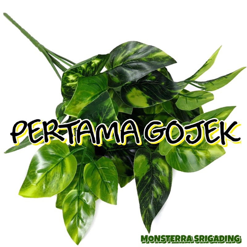 Jual Monstera Plastik/ Bunga Plastik/ Daun Plastik/ Daun Rambat Plastik ...