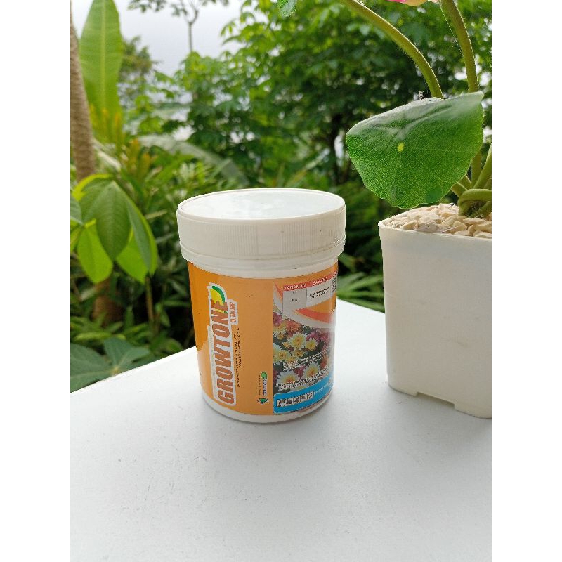 Jual ZAT PENGATUR TUMBUH TANAMAN,PERANGSANG AKAR GROWTONE | Shopee ...