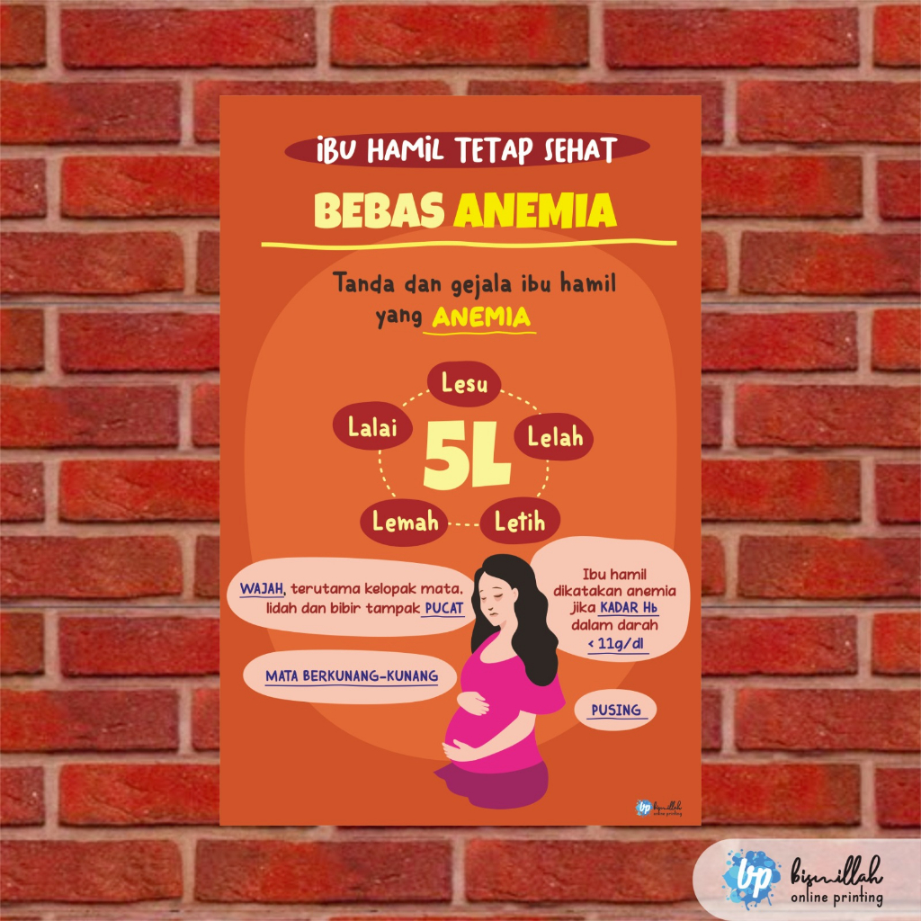 Jual Poster Kesehatan Ibu hamil, Anemia dan Tablet Tambah Dara | Shopee ...