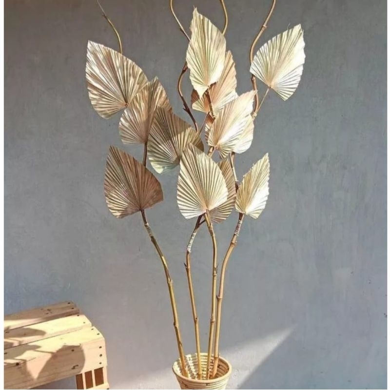 Jual Stik ulir daun palem, palem stik bunga kering 1 btg | Shopee Indonesia