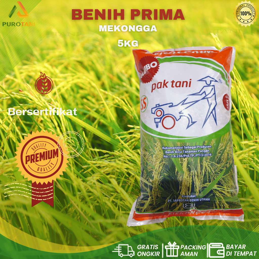 Jual Benih Padi Mekongga Pak Tani 5kg SS Prima Bibit Padi Mikongga ...