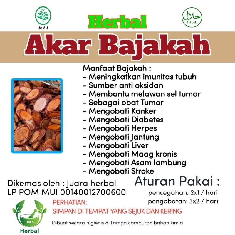 Jual AKAR BAJAKAH ISI 100 KAPSUL HERBAL ANTI KANGKER DAN TUMOR | Shopee ...