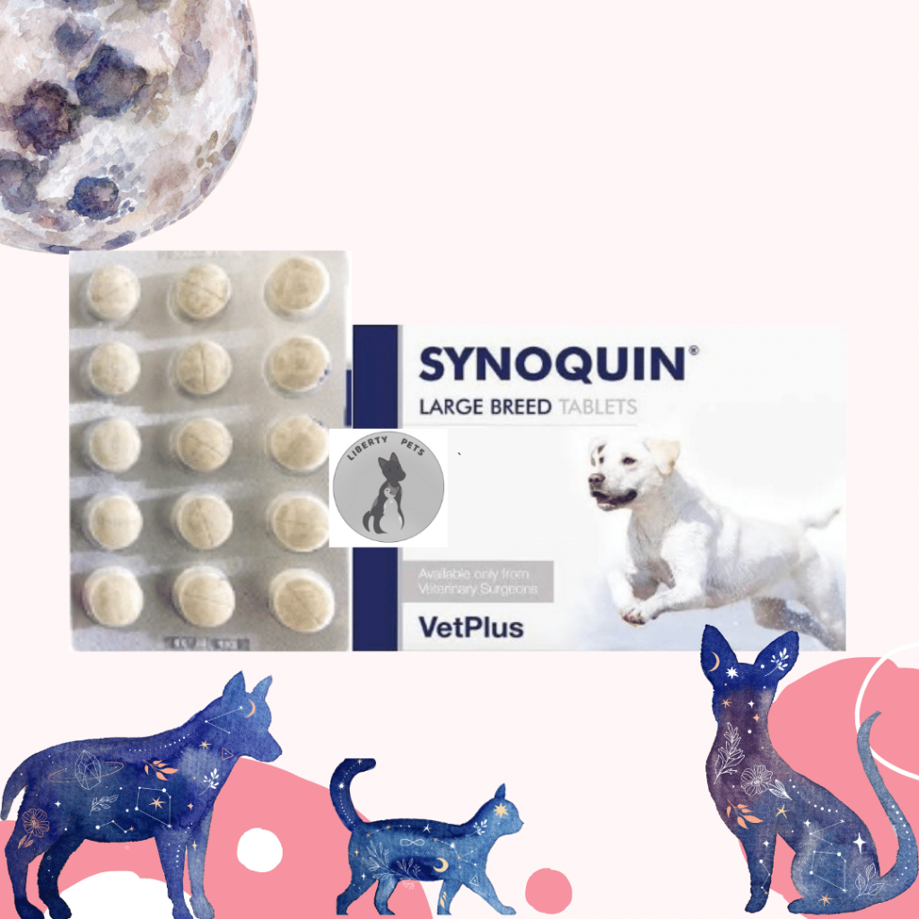 Jual Synoquin Large Breed For Dogs >25kg Suplemen Tulang dan Sendi ...