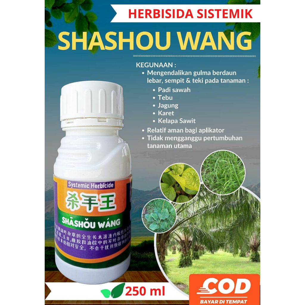 Jual Herbisida Sistemik Pembasmi Gulma Tanaman Padi Karet, Tebu ...