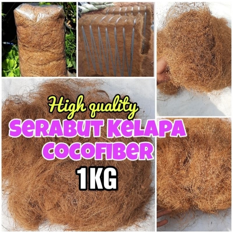 Jual Serabut Kelapa/Sabut Kelapa/Media Tanam Cocofiber 1Kg | Shopee ...