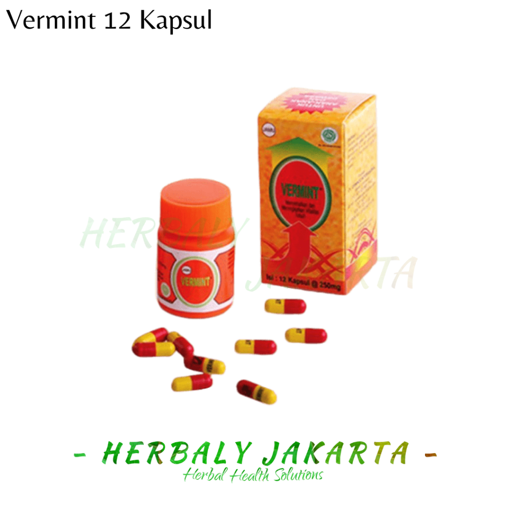 Jual Vermint | Vermin | Obat Penyakit Tifus / Tipes / Typus 12 Kapsul ...