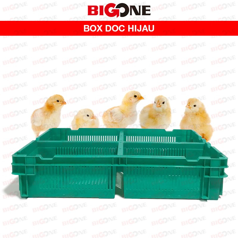 Jual Doc Box Keranjang Anak Ayam Sekat 4 / tempat anak ayam keranjang ...