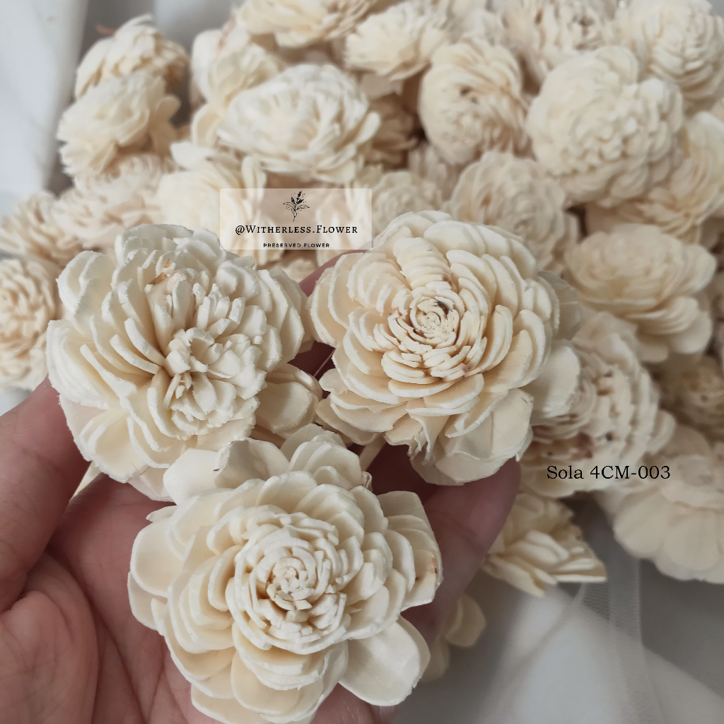 Jual 5 PCS Bunga Sola Wood Flowers 4 CM / Bunga Kayu | Shopee Indonesia