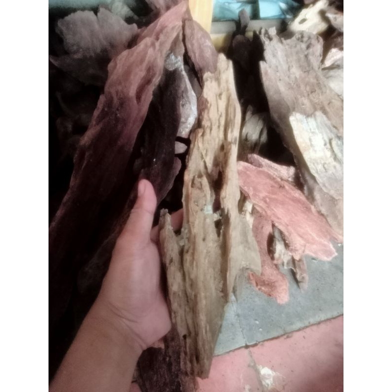 Jual Kayu Rentek | Shopee Indonesia