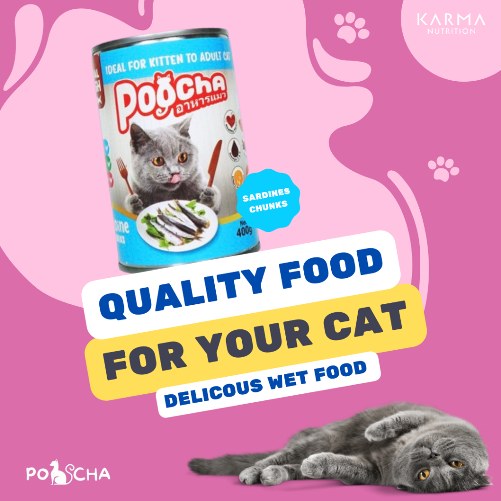 Jual POOCHA CAT FOOD KALENG 400 GR MAKANAN KUCING BASAH RASA SARDINE ...